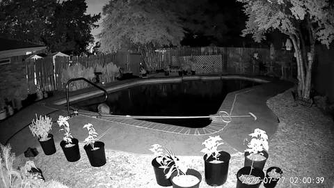backyard night camera