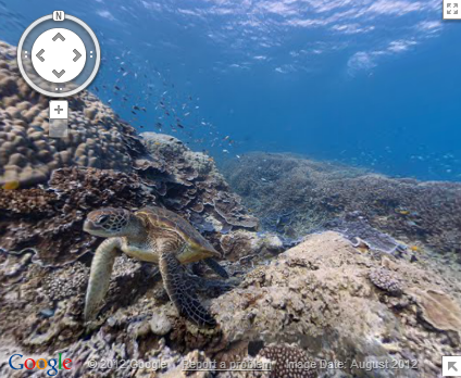Google Maps Goes Beyond The Streets, Lets You Explore The Great Barrier ...