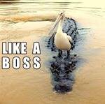 Motorola Teases The Moto X Like A Boss, Launches Patriotic Ad Before ...