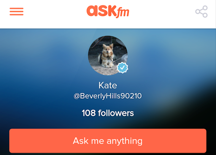 ASKfm Gets An Interface Revamp, Giphy Integration, And Plenty Of User ...