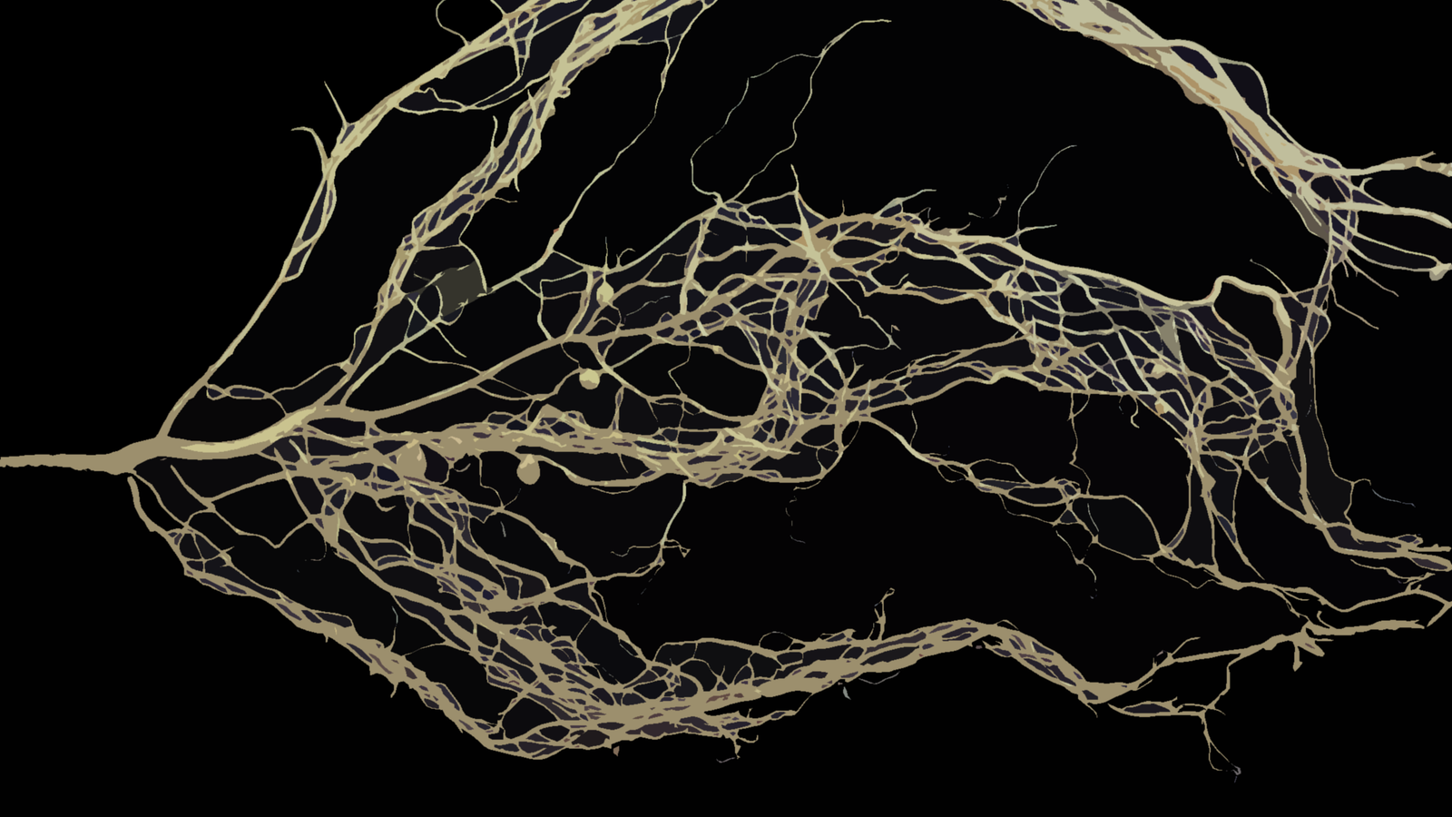 Chainfire releases 'suhide', an experimental (and not officially ...