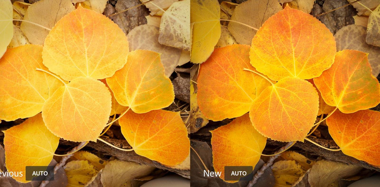 Adobe Lightroom updated with improved auto settings, app shortcuts, and ...