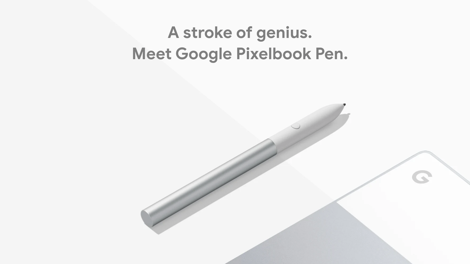 The Pixelbook Go does not support the Pixelbook Pen