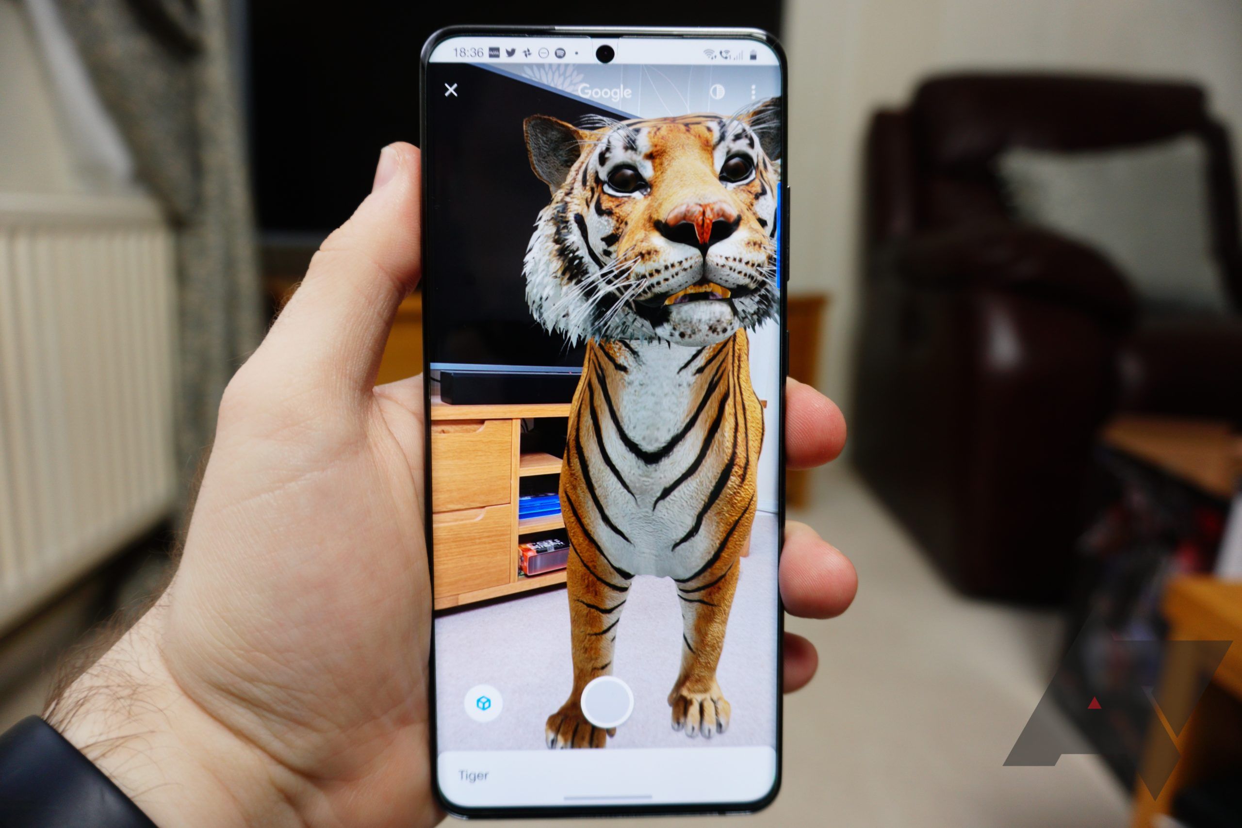 Google 3D animals: 110+ AR critters, dinosaurs, and more