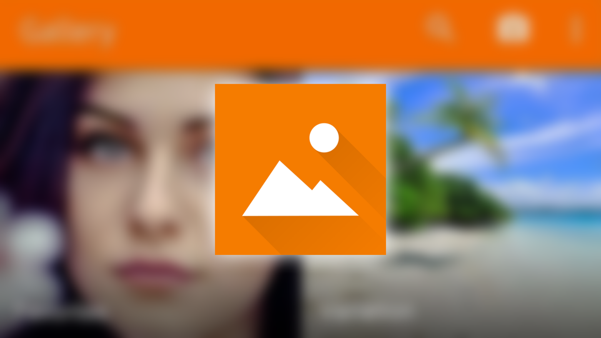 Simple Gallery Pro is a local gallery app that properly handles Pixels ...