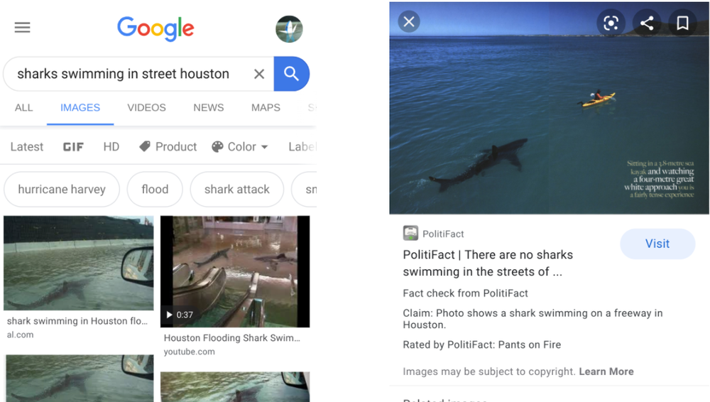 Google Image Search picks up fact check labels and summaries