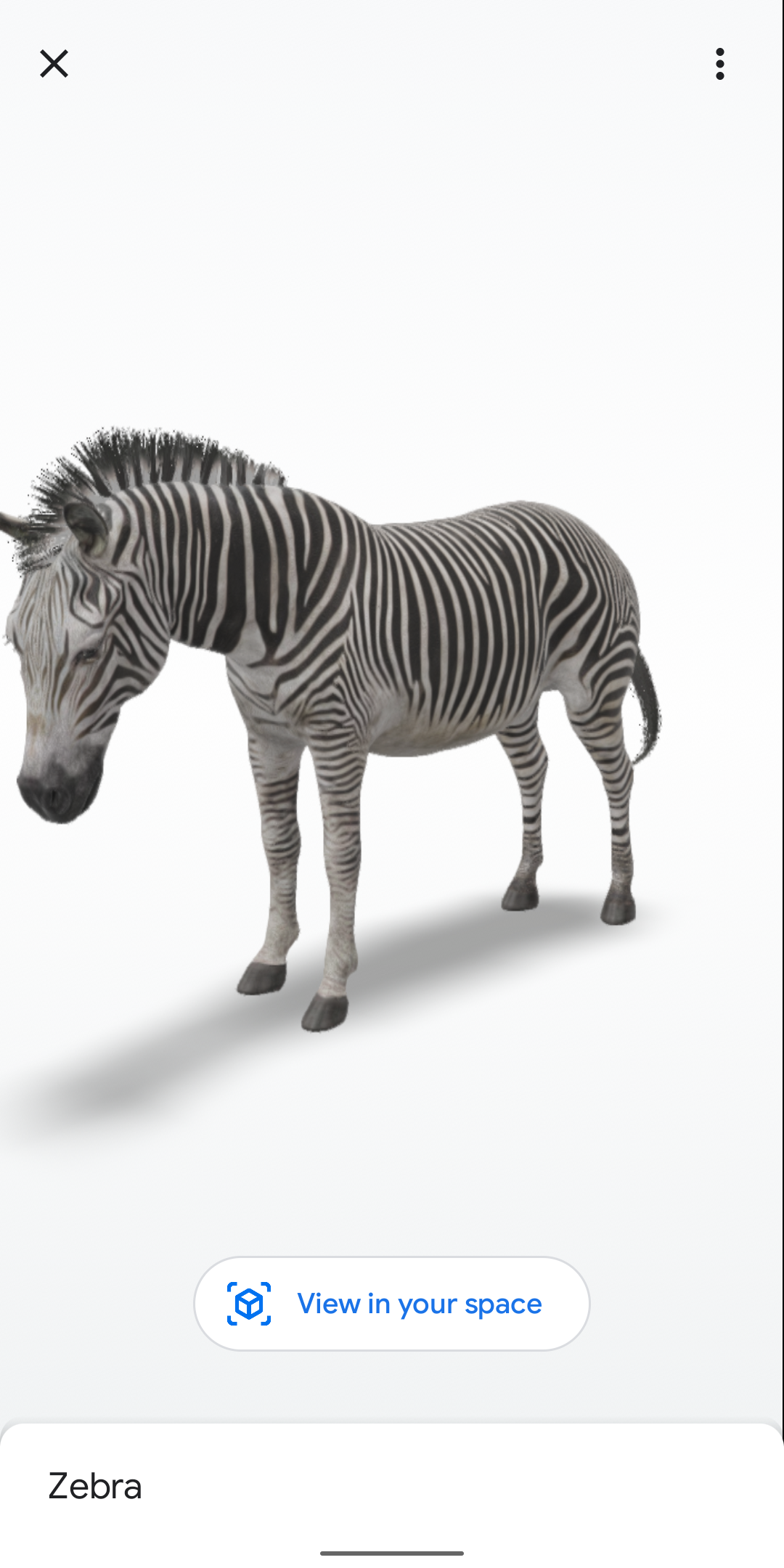 animals google 3d list