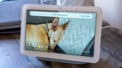 How to adjust your Google Nest's sound settings