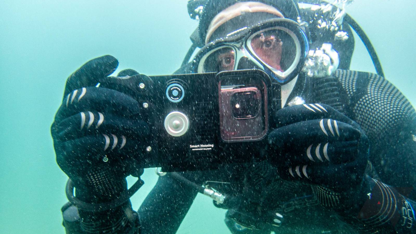 Here's what the Pixel's new underwater photography looks like