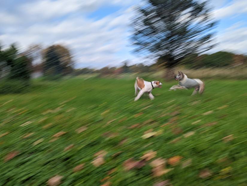 pixel camera action shot