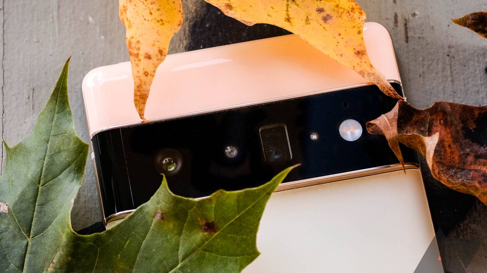 Google Pixel 6 Pro camera guide