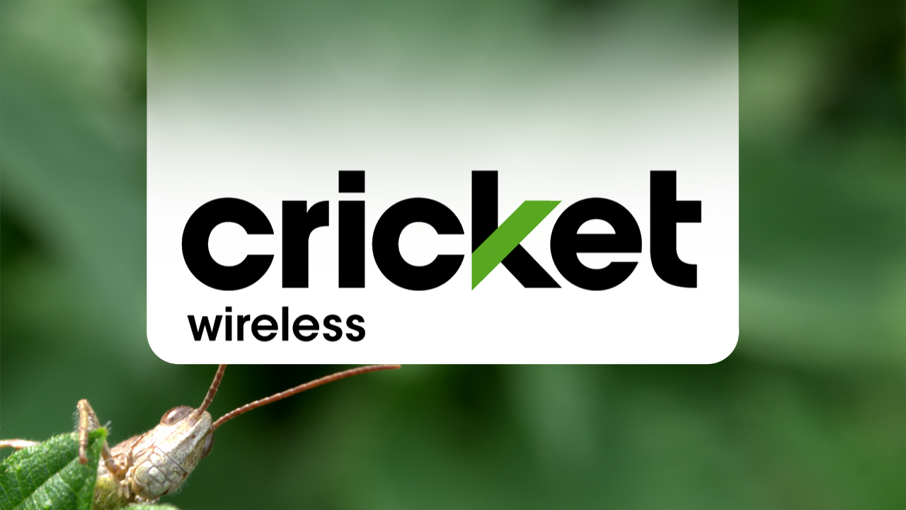 Cricket: How to find your transfer PIN and port out your number