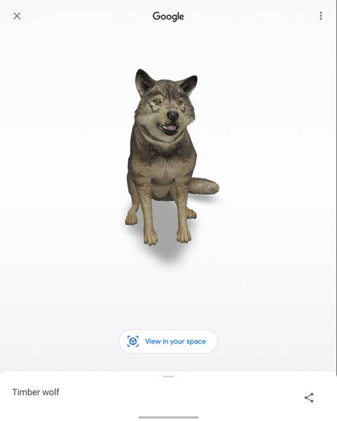 timber wolf 3d google