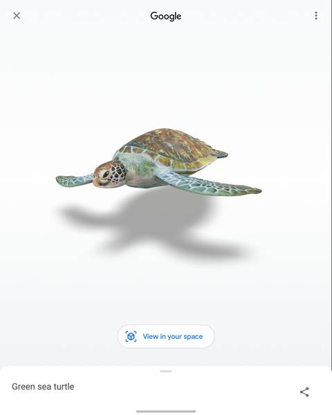 Google 3D animals: 110+ AR critters, dinosaurs, and more