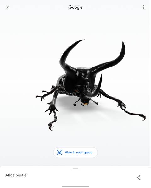Google 3D animals: 110+ AR critters, dinosaurs, and more
