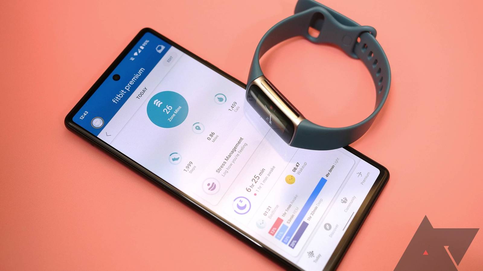 Find out what animal you sleep like with Fitbit's new Sleep Profile