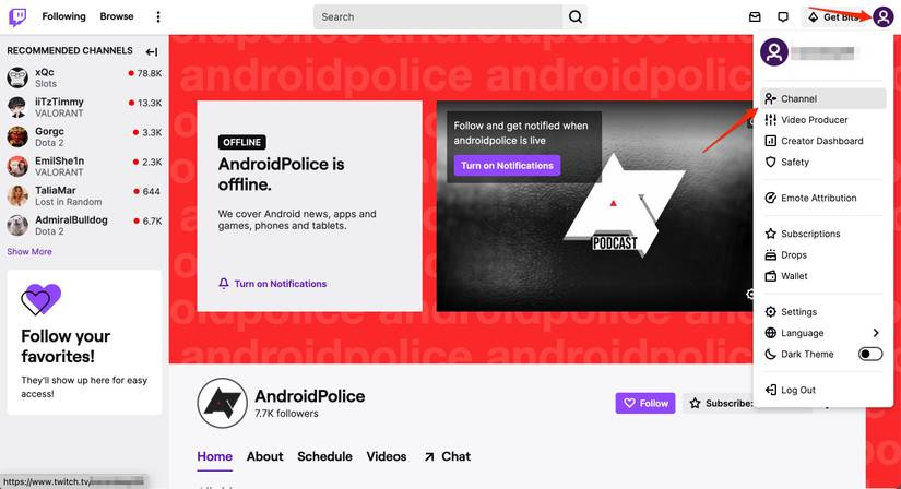 What is Twitch TV