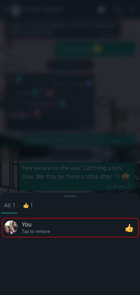 WhatsApp: How to use message reactions