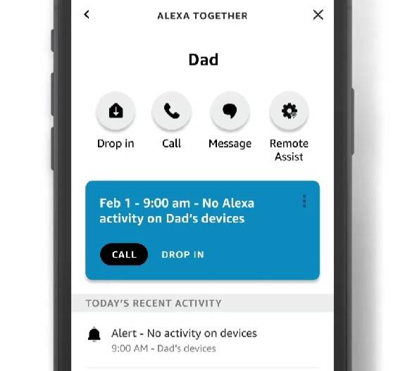 What is Alexa Together?