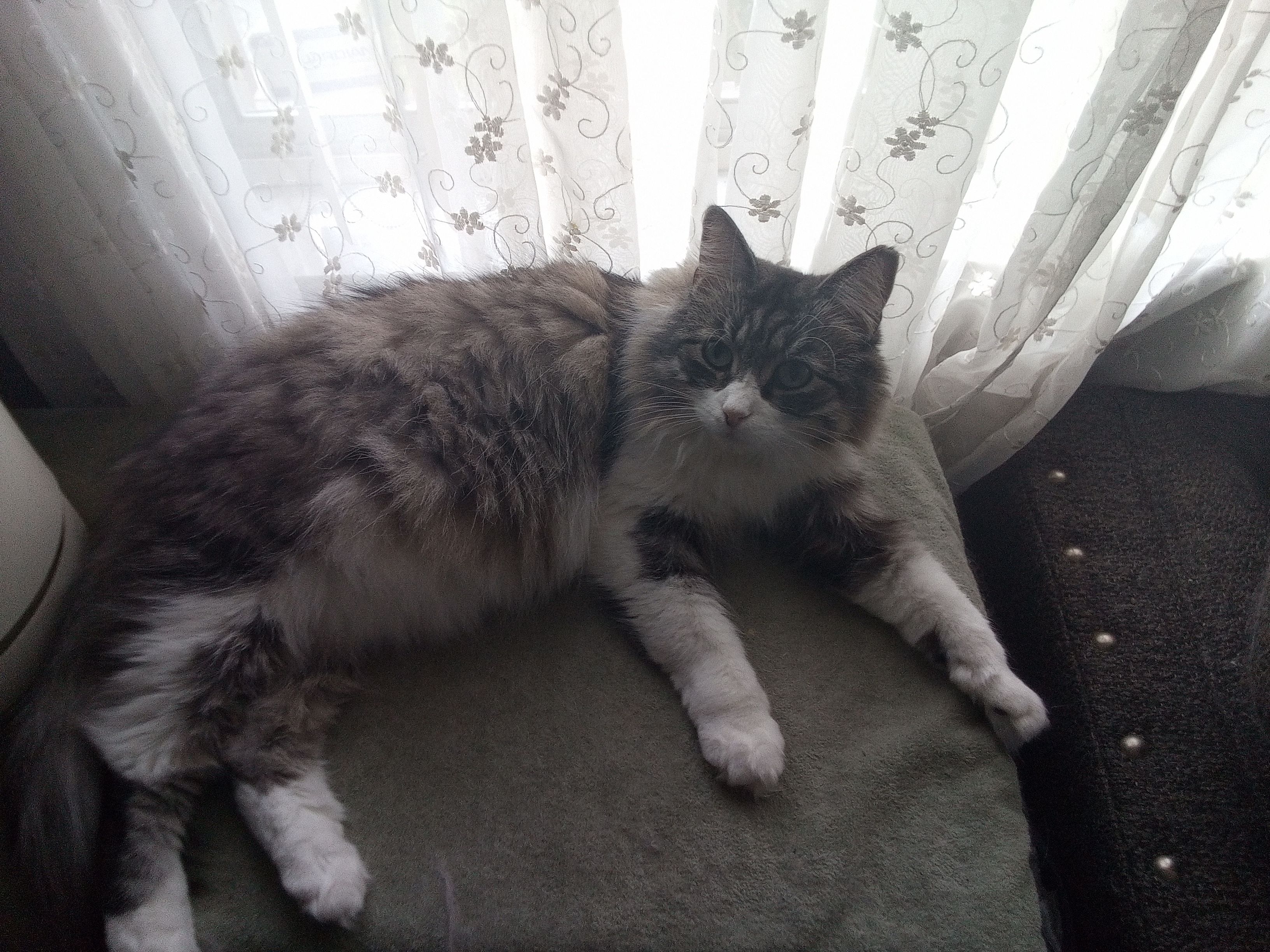 Bigme inkNote Color review: An unrefined and expensive workhorse