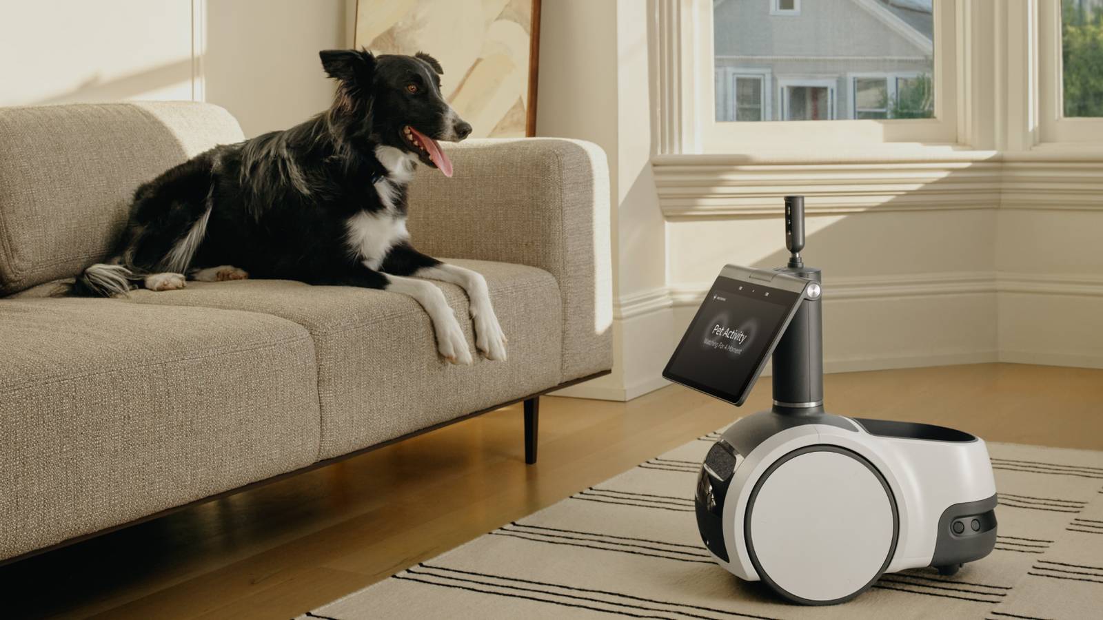 Pet-friendly robots, bedside sleep tracking, and everything else you ...