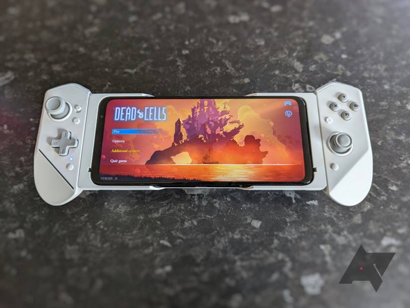 Do ASUS ROG Phone 6 cases fit 6 Pro?