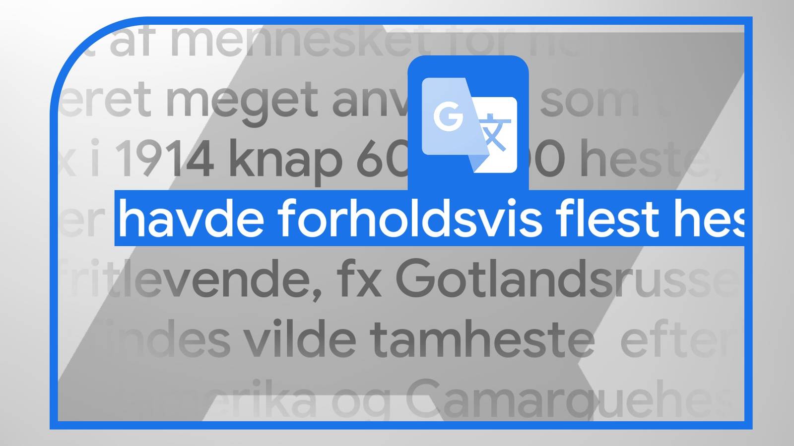 Google Translate: How to use the language detection feature