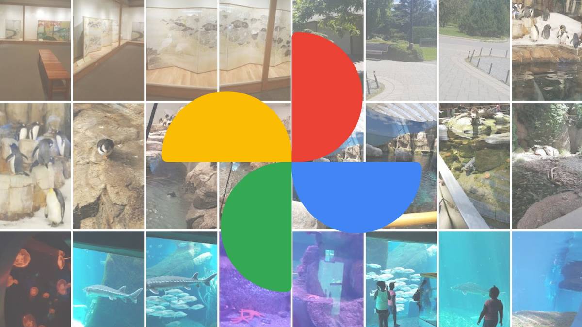 How to sync and back up your images in Google Photos