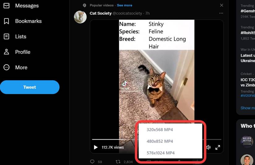 X (Twitter): How to download videos from a post