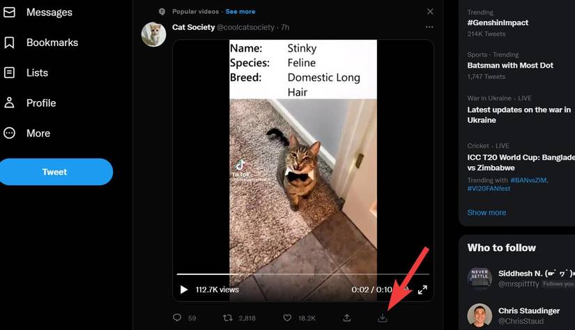 X (Twitter): How to download videos from a post