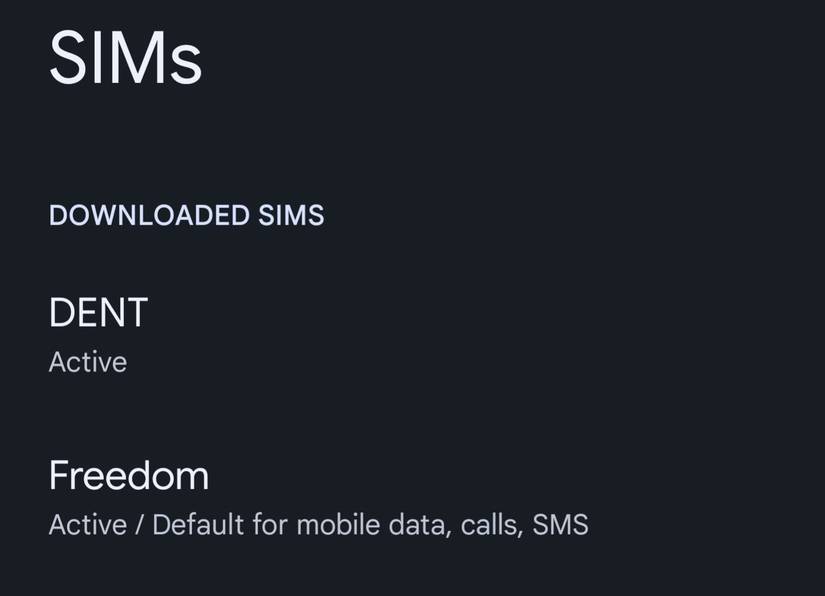 Google Pixel 7 dual eSIM support has finally started to arrive