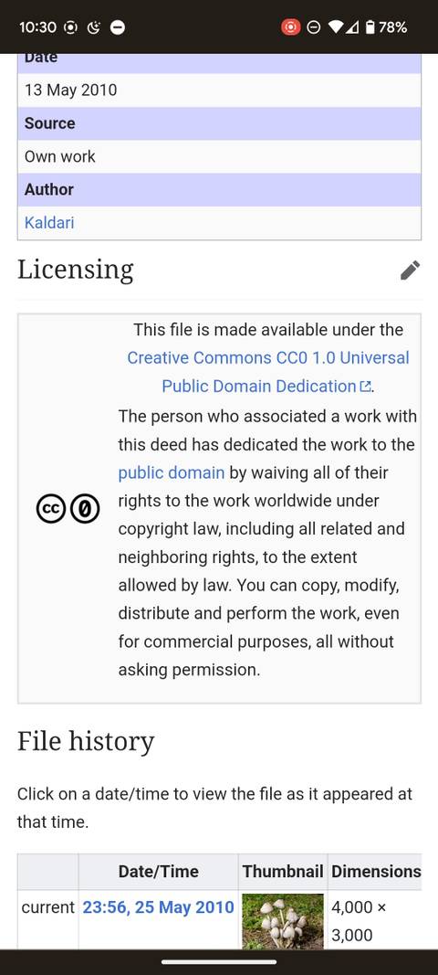 How to download images from Google
