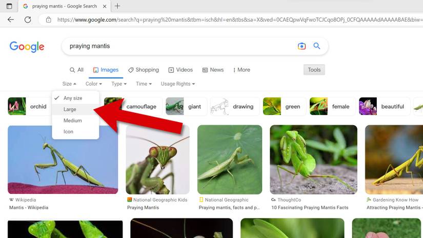 How to download images from Google