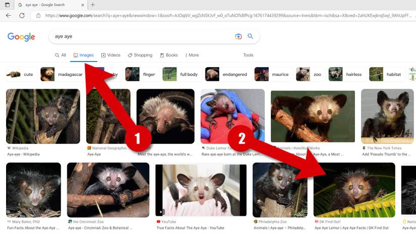 How to download images from Google