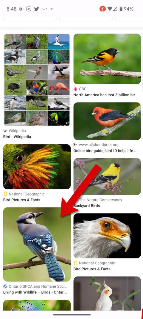 How to download images from Google