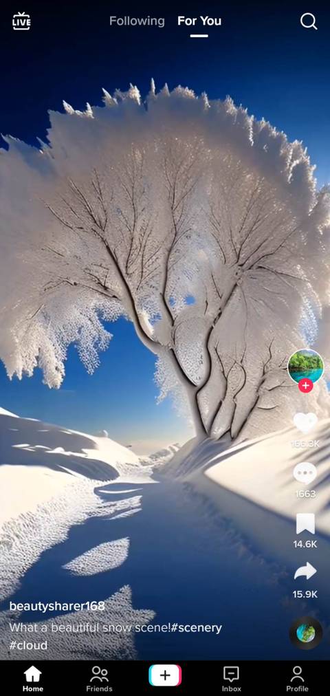How to get verified on TikTok