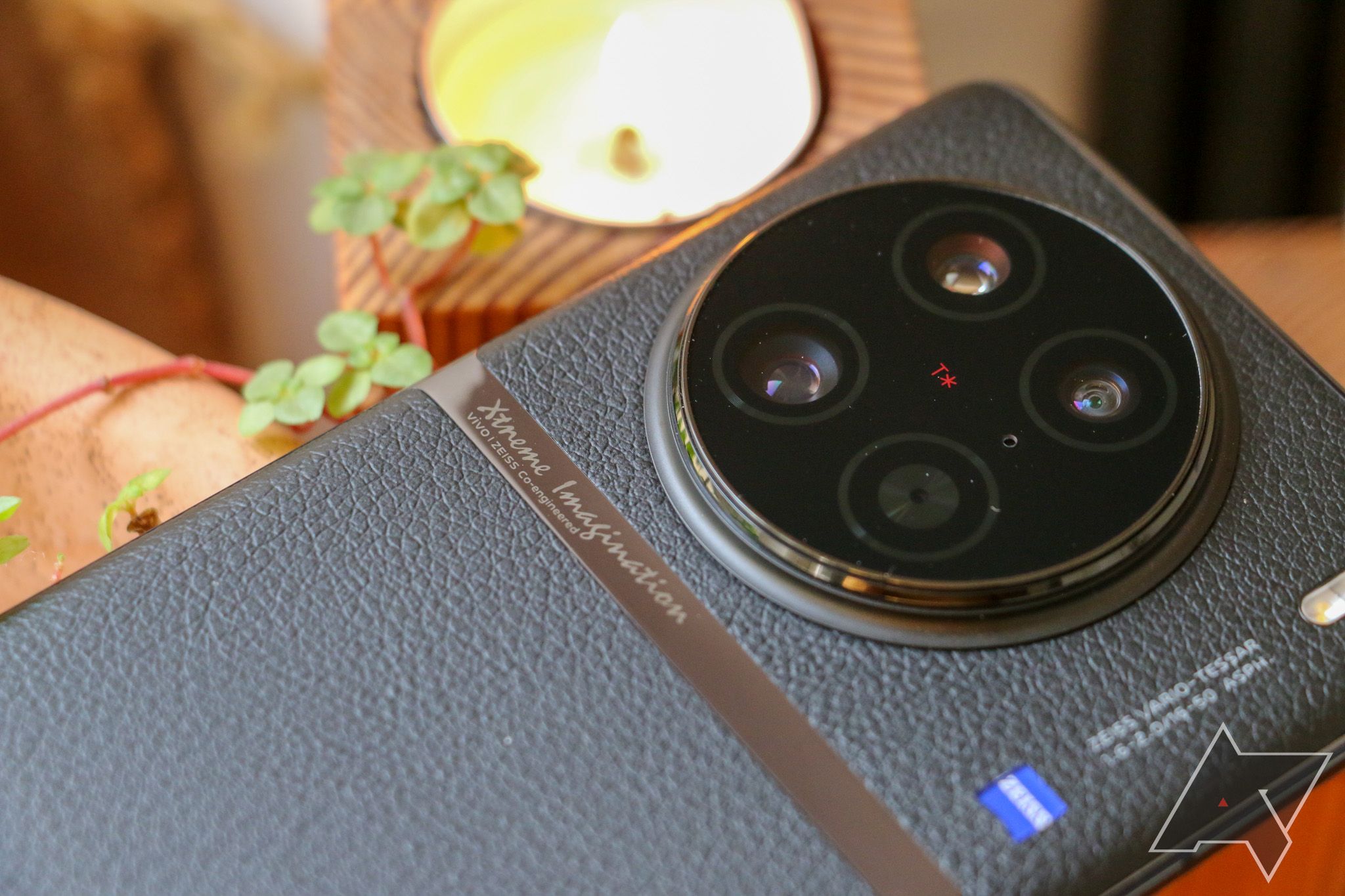 Mobile Photography Week 2023: Our big phone camera celebration