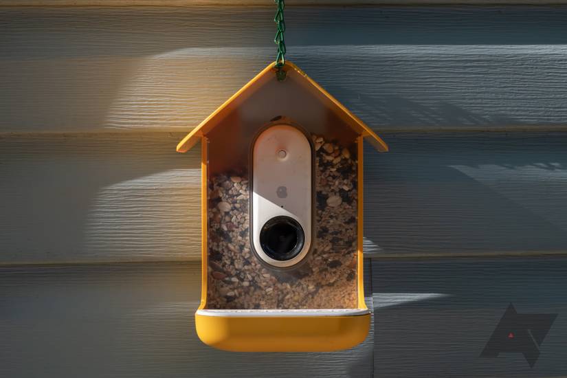 Bird Buddy smart bird feeder review: Amateur ornithology at its cutest