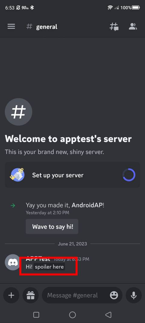 How to censor on Discord