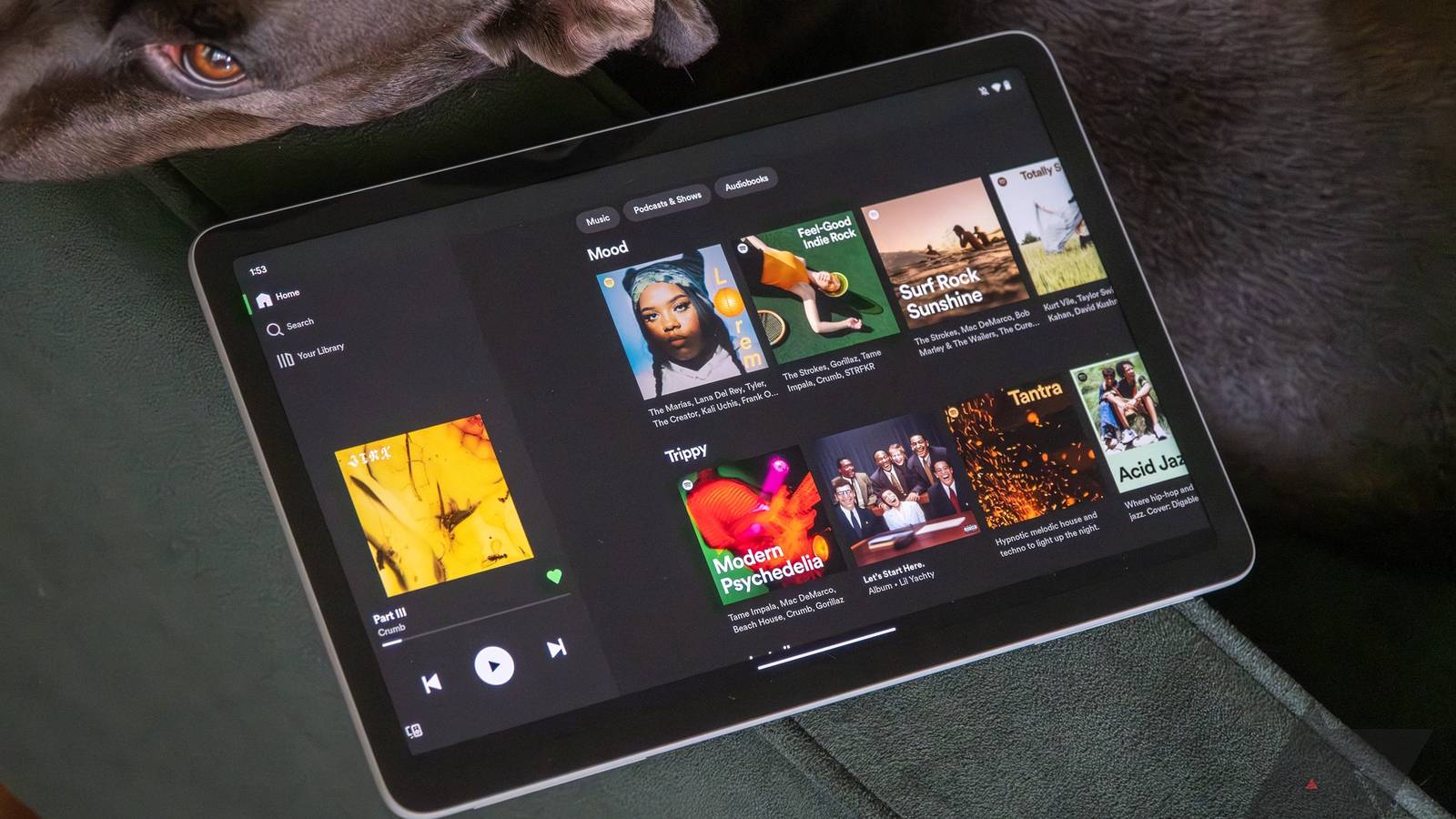 Spotify may finally be launching the hi-fi streaming plan it teased two ...