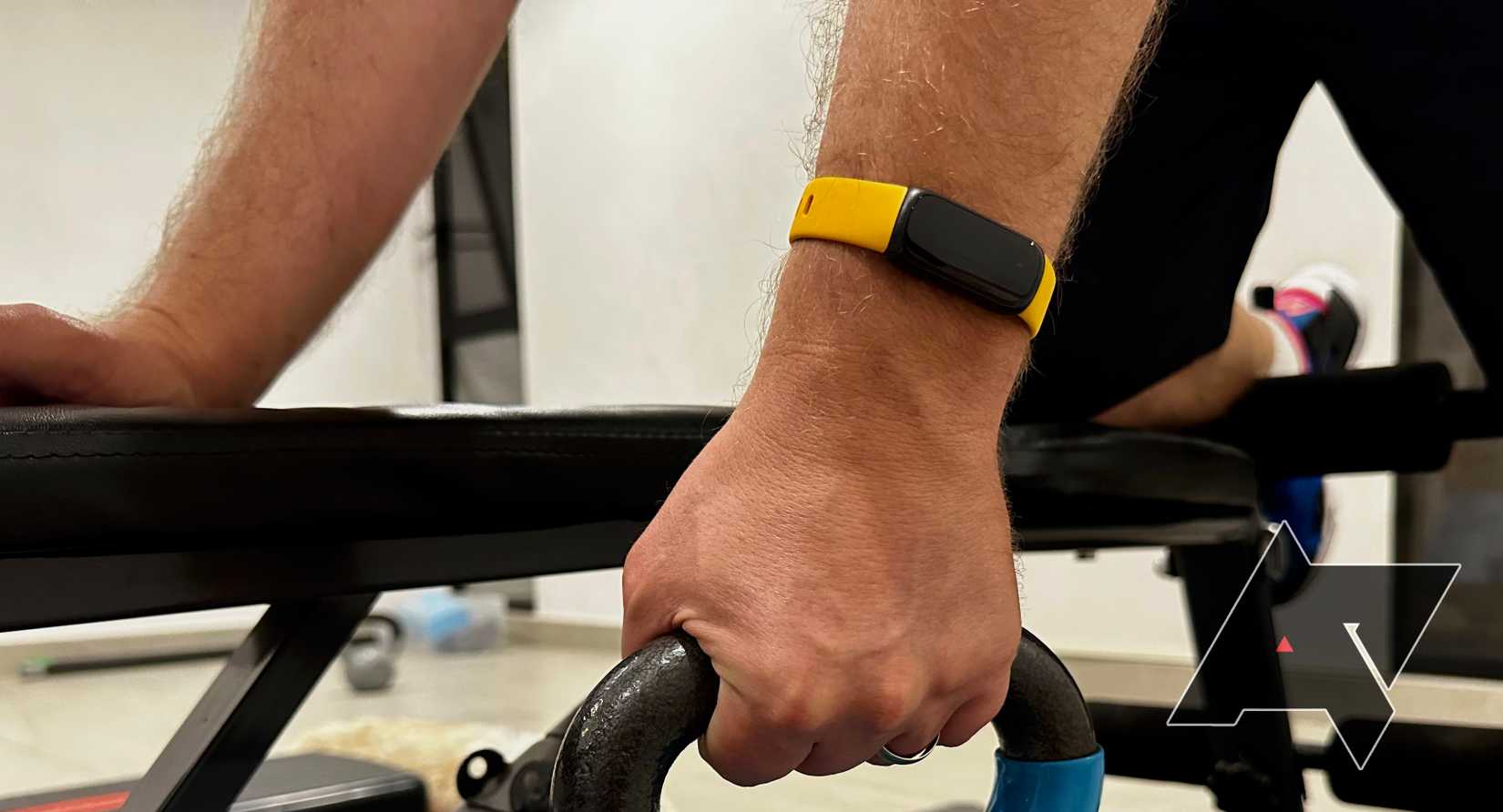 Best Fitbit in 2025