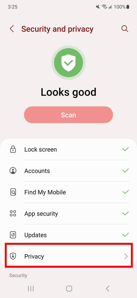 How to access Samsung's Privacy Dashboard
