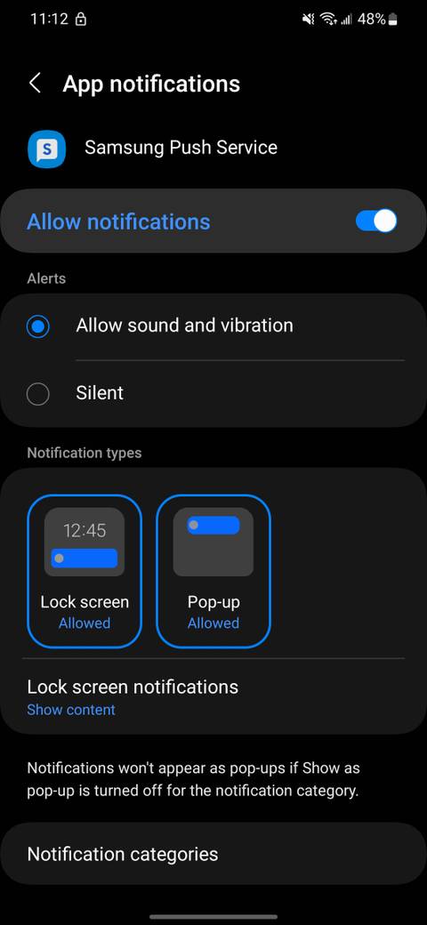 What is Samsung Push Service and how does it work?