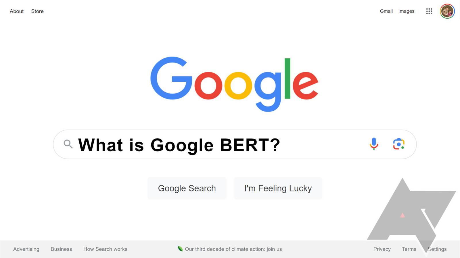 What is the BERT language model and how does it work?