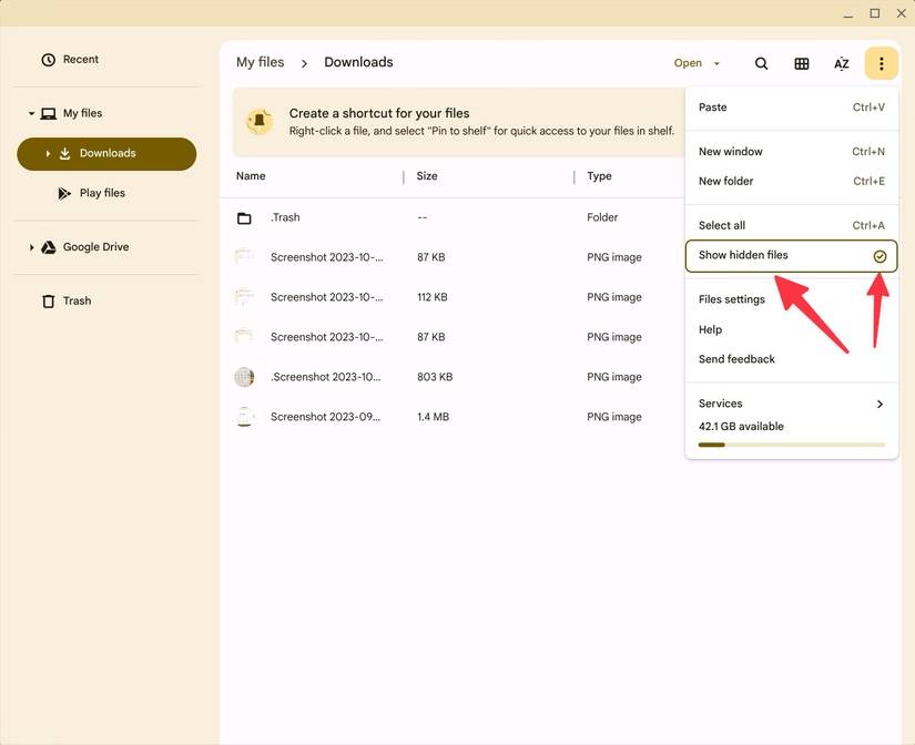 How to hide files and folders on your Chromebook