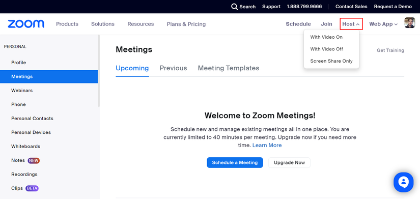 Zoom: How to play music on video calls