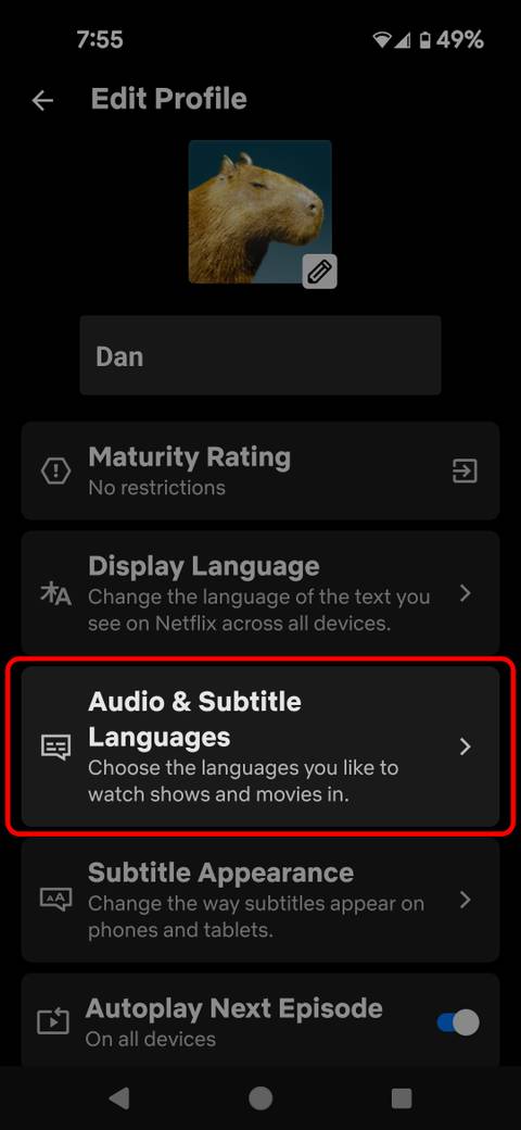 Netflix: How to change the language on your account