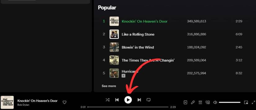 How to use the Spotify web player