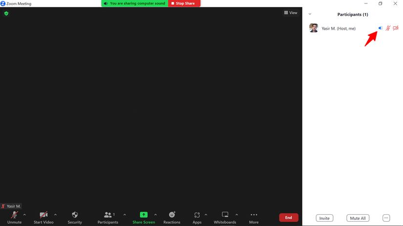 Zoom: How to play music on video calls