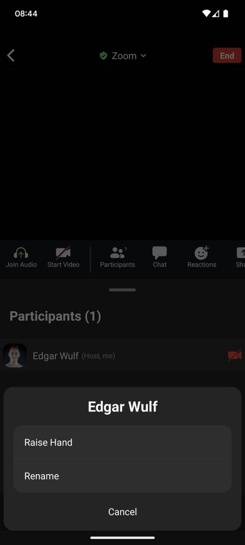 Zoom: How to change your name
